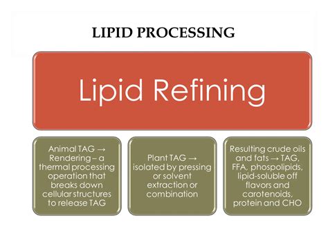 Lipid Ii Lipids Are Fatty Waxy Or Oily Compounds That Are Soluble In Organic Solvents And