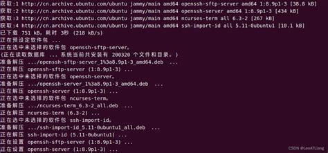 基于linux的hadoop伪分布式安装 完成linux虚拟机的安装 完成hadoop单机和伪分布式安装 csdn博客