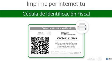 ¿cómo Imprimir La Cédula De Identificación Fiscal Con Rfc Datanoticias