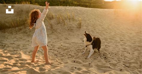 낮에는 흑백 짧은 코트 개와 함께 해변을 걷고 있는 흰색 드레스를 입은 여자 사진 Unsplash의 무료 플로리아노폴리스 이미지