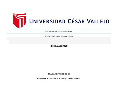 Trabajo Practico 01 Tutoria VIII TUTORIA VIII PROYECTO PROFESIONAL