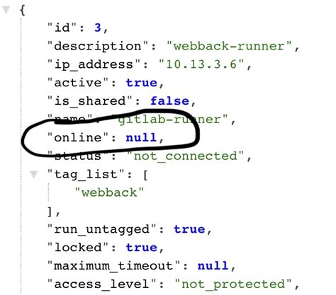 Why Do I Care Which Gitlab Runner Runs My Pipeline Stack Overflow