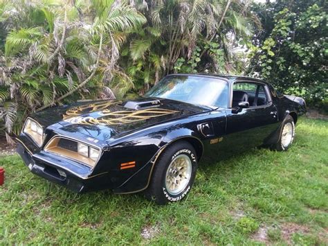 76 Trans Am 77 Front End