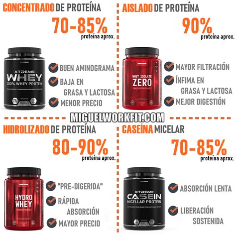 Tipos De Proteína En Polvo Miguelworkfit