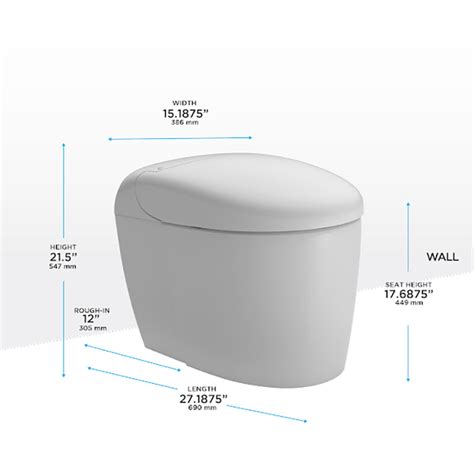 Toto Neorest Rs Dual Flush Bidet Toilet Free Shipping — Premier Bidets