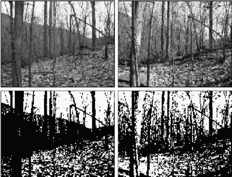 Two Snapshots From The Forest Data Set Above Low Resolution Download Scientific Diagram