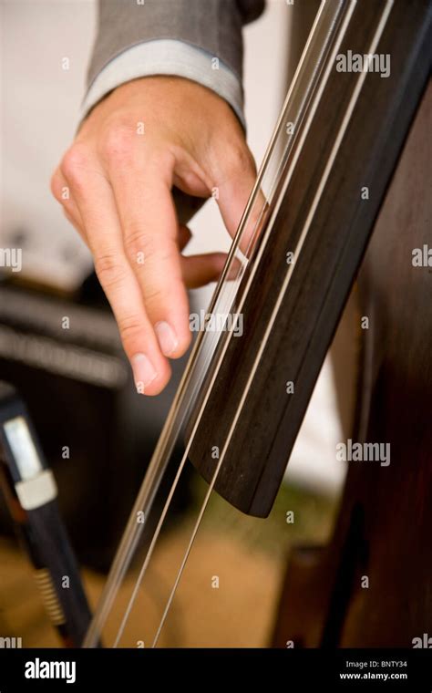Open Strings On A Double Bass At Gary Delariva Blog