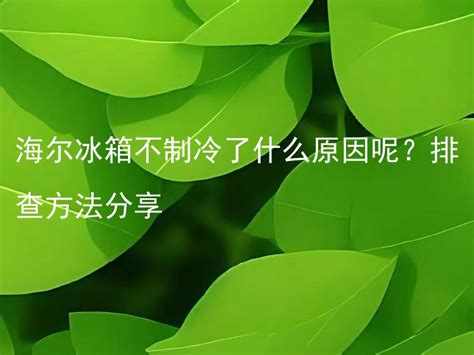 海尔冰箱不制冷了什么原因呢排查方法分享 海尔冰箱不制冷了怎么办常见原因与排查方法分享 找茬吧