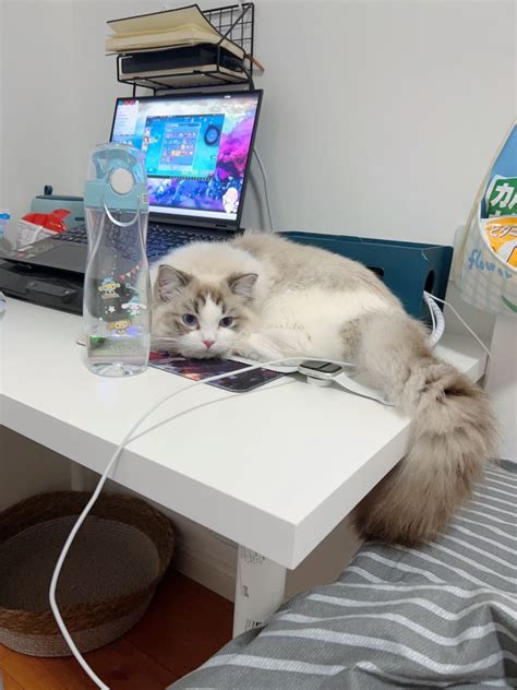 [破事氵]就是说打本的时候碰到这种情况大家会怎么办 178