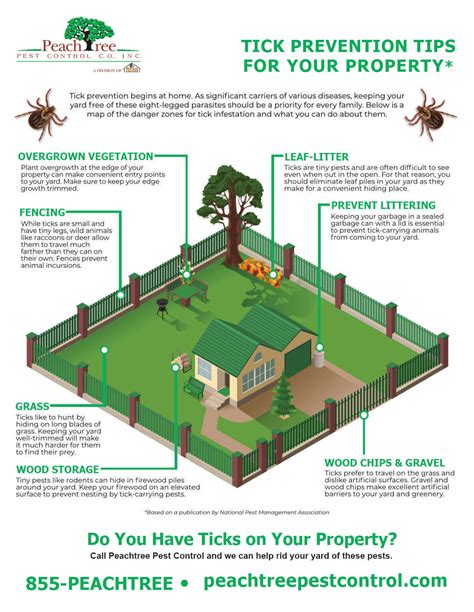 Tick Control And Prevention Pest Control And Extermination For Ticks