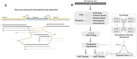 全基因组rna Rna Interactions捕获技术解读（初） 知乎