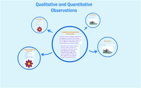 Qualitative And Quantitative Observations By Annika Foust On Prezi