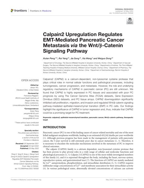 PDF Calpain2 Upregulation Regulates EMT Mediated Pancreatic Cancer