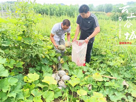 谷城新闻网