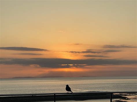 Mb Gallery Chatan By The Terrace Hotels Updated 2025 Prices And Hotel Reviews Okinawa