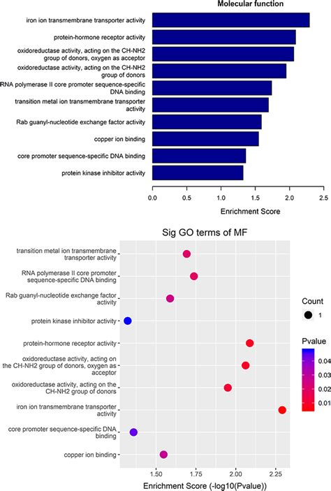 Significantly Enriched Gene Ontology Go Annotations Based On