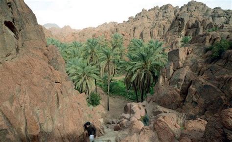 جبال اجا و سلمى شمال السعودية