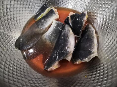 表哥養的馬齒莧開花了我的怎麼不開花 每日頭條