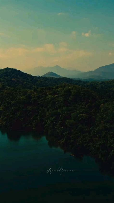 Sri Lankan Eliphant Sri Lanka Travel Aesthetic