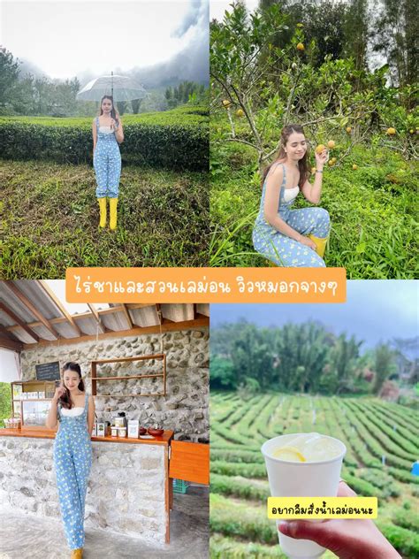 🌳🌧️พาเช็คอินดอยอินทนนท์🌳🌧️ แกลเลอรีที่โพสต์โดย เรื่อยเปื่อย♥️ Lemon8