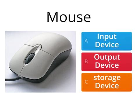 Input And Output Devices Cuestionario