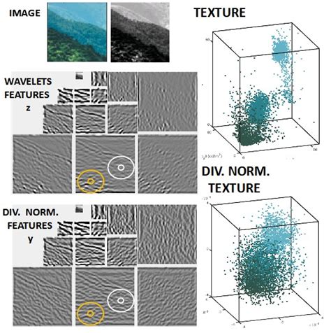 neural networks with divisive normalization for image segmentation with