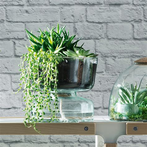 Lsas Christmas T Guide Features 15 Contemporary Glassware Designs