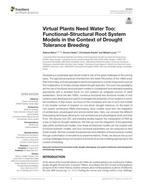 PDF Virtual Plants Need Water Too Functional Structural Root System Models In The Context Of