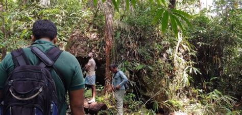 Support The Rainforest Guardians In Sri Lanka Globalgiving
