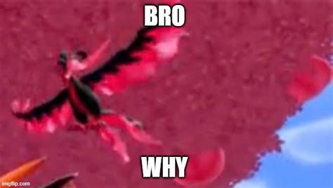Imgflip