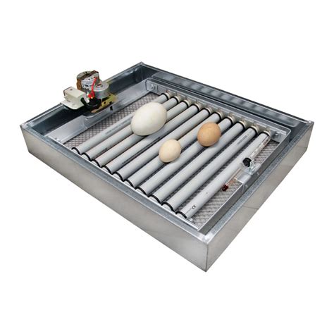 Couveuse Fiem Lincubation Haut De Gamme Pour Oiseaux Exotiques