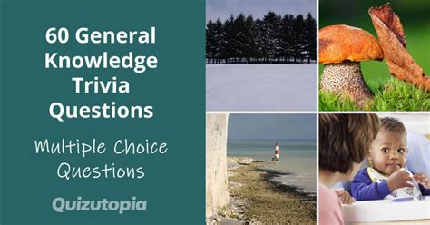 25 Question General Knowledge Quiz - Easy With Answers - Quizutopia