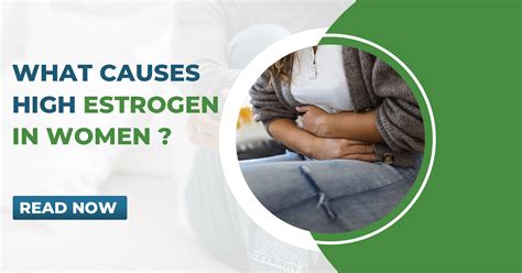What Causes High Estrogen In Women World Ivf Centre