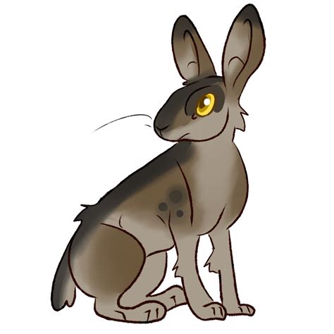 Cassowary On Toyhouse