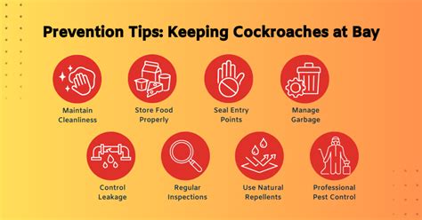 Do Cockroaches Bite Symptoms Prevention And Treatments Truly Blog