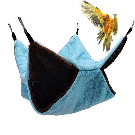 10 Best Sun Conure Bird Accessories Top Picks Hummingbirds Plus