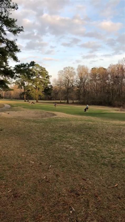 Summerville Green Wave Golf Home Facebook