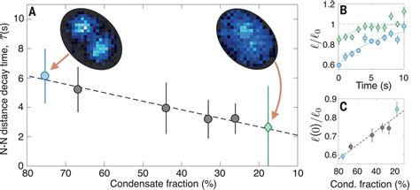 Giant Vortex Clusters In A Two Dimensional Quantum Fluid Science