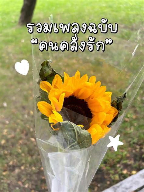 รวมเพลงฉบับ“คนคลั่งรัก” แกลเลอรีที่โพสต์โดย Ppemikann Lemon8