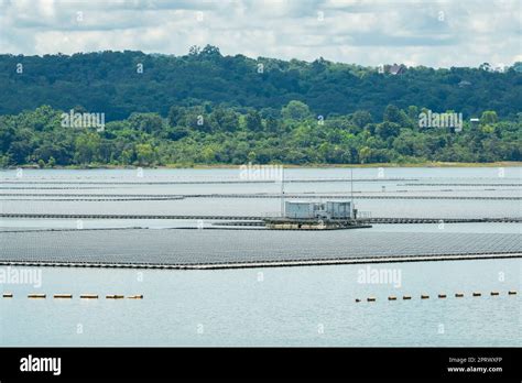 Floating Solar Farm Or Floating Photovoltaics Solar Power Landscape Of Solar Panels Floating