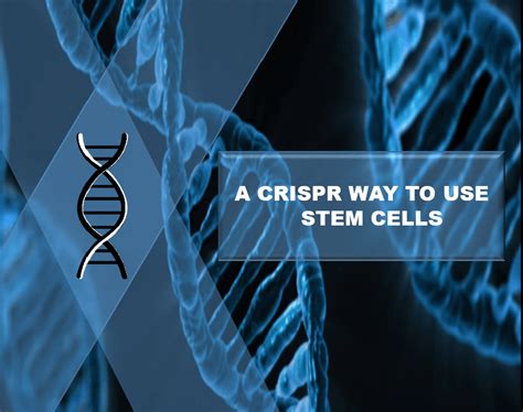 A Crispr Way To Use Stem Cells﻿ Delveinsight Business Research