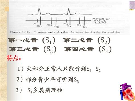 心脏查体 word文档在线阅读与下载 无忧文档