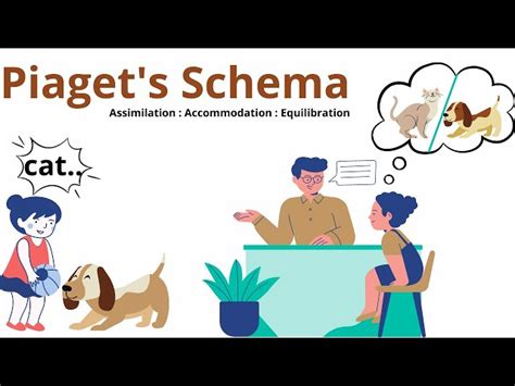 Schema Theory Piaget