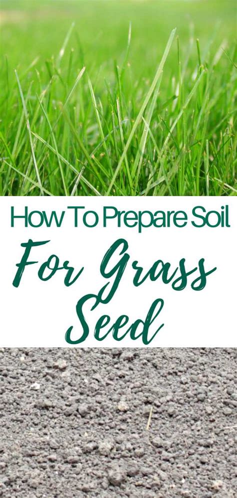 How To Prepare Soil For Grass Seed Important Steps For A Healthy Lawn