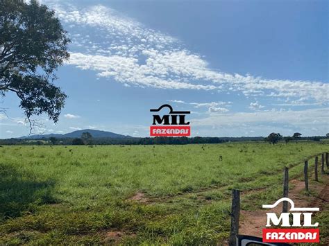 Mil Fazendas Fazenda Agricultável em Porangatu GO 72 Alq 348 Há