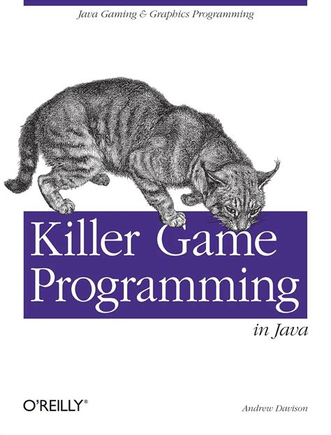 Killer Game Programming In Java Java Gaming Graphics Programming
