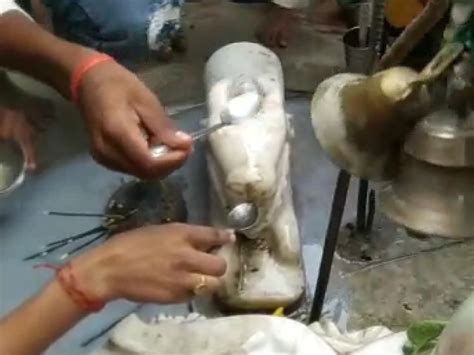 Inflow Of Devotees Started In Shiva Temple Built In Kishni Devotees
