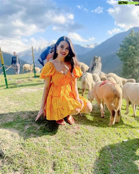 Shristi Shrestha Wiki Biography Age Gallery Spouse And More