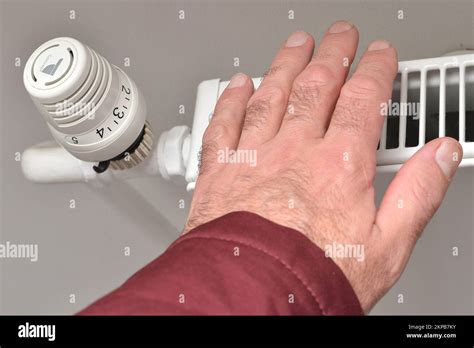 Prices Of Energy Electricity And Gas For Households And Businesses