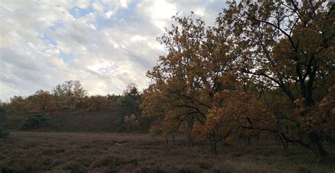 Testing Of Annotation Processors Reloaded By Tobias Stamann Medium